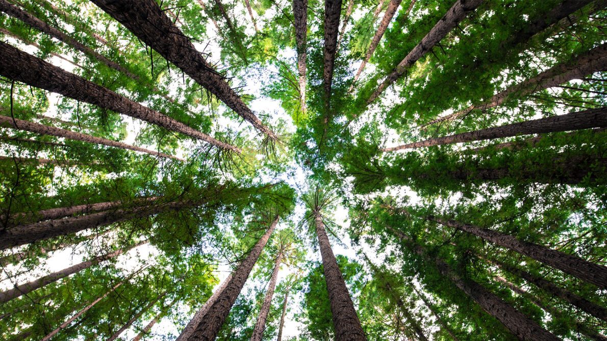 Basalt Infrastructure Partners køber Reconor Group - Accura