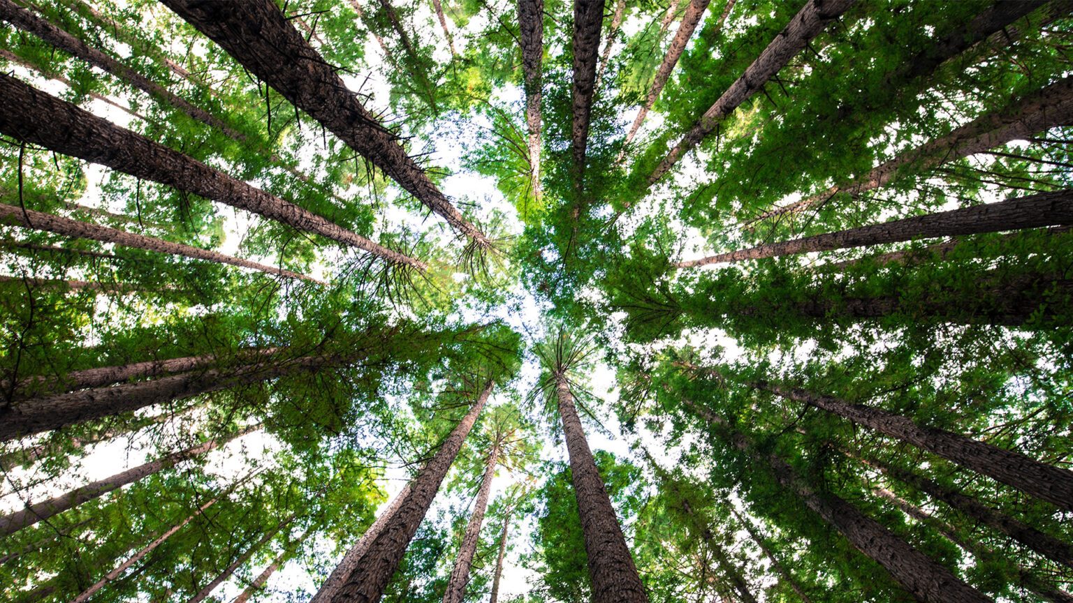 Basalt Infrastructure Partners acquires Reconor Group - Accura