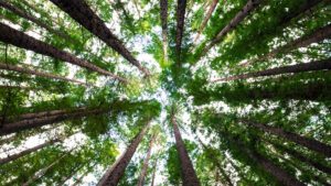 Basalt Infrastructure Partners acquires Reconor Group - Accura