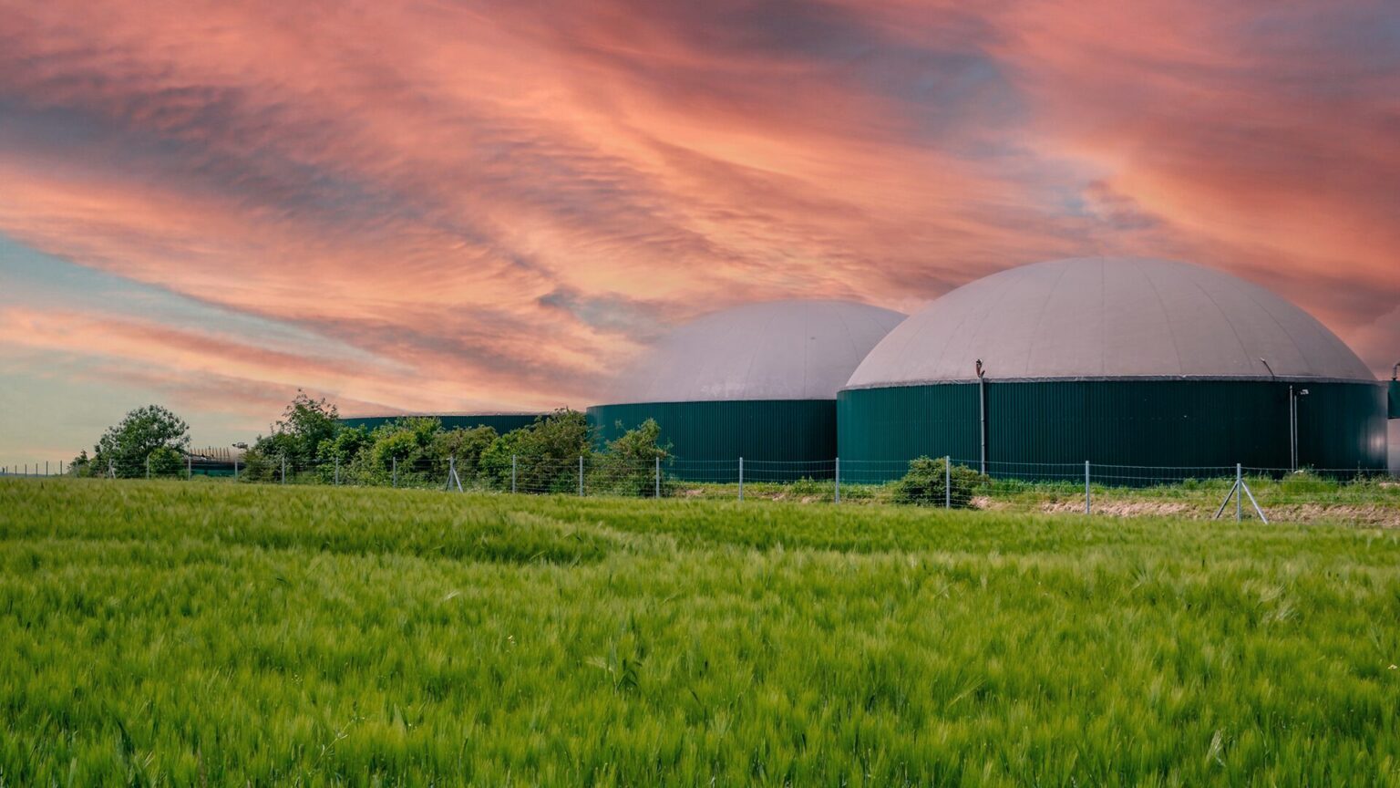 BioCirc publishes prospectus for the admission to trading and official ...